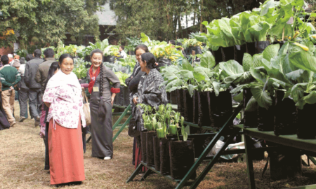 Sikkim Embracing Placement Linked Strategy For Skill Development ...