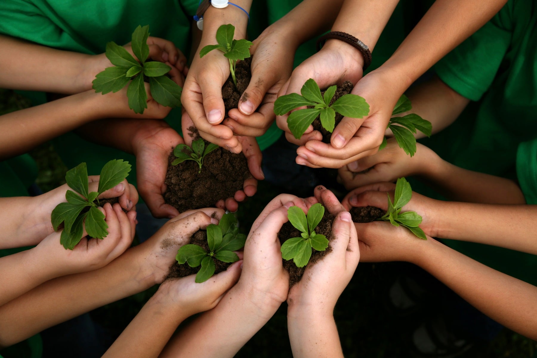 Schools Key to Develop Eco-Friendly & Safe World